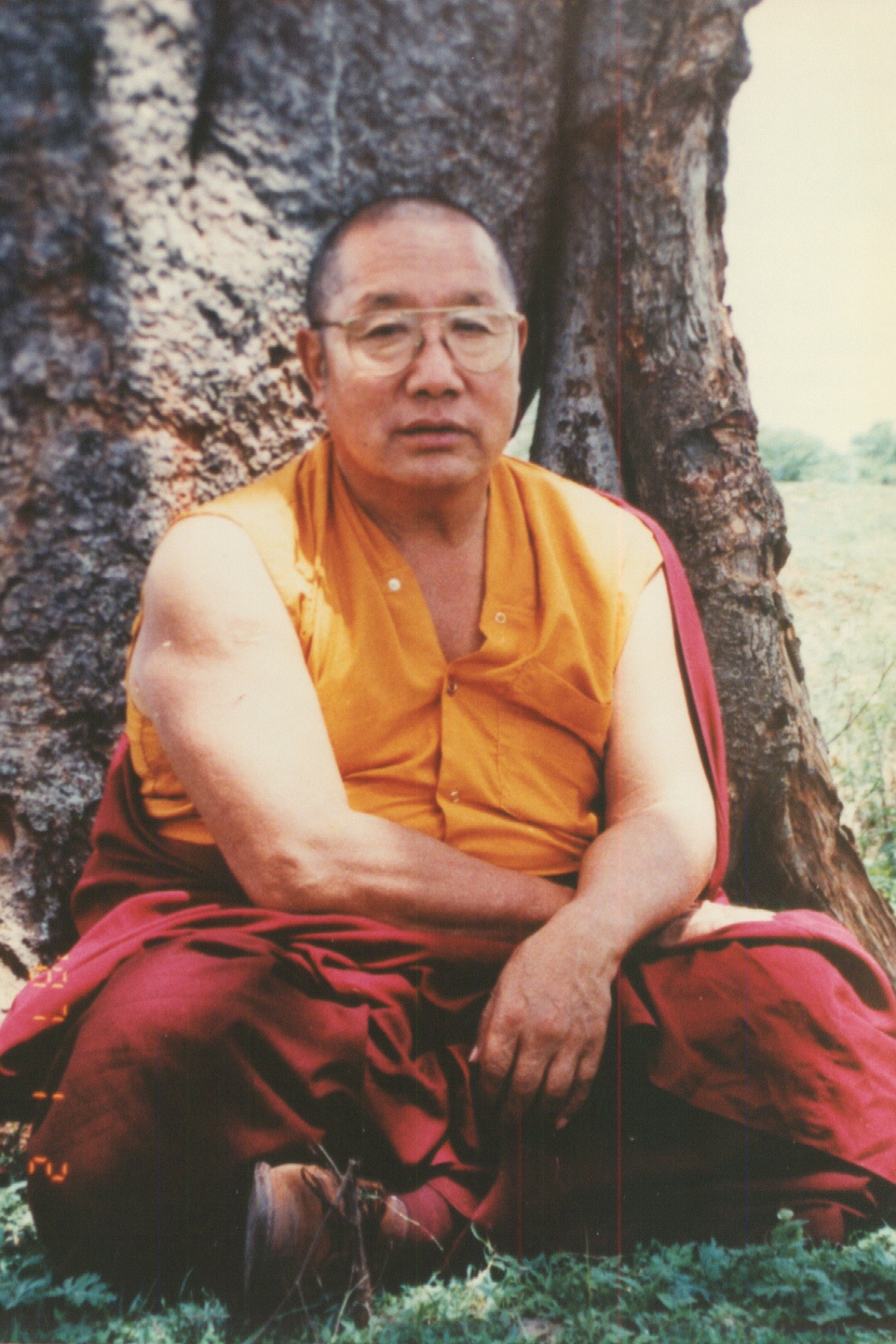 Heart Teaching by His Holiness Penor Rinpoche | Tibetan Buddhist Altar